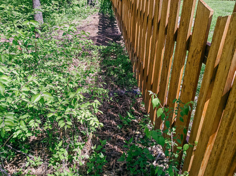 LAYING A MULCH BORDER UNDER OUR FENCE - Grove House Reno