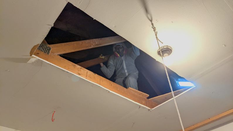 REPLACING OUR ATTIC HATCH | DIY INSTALL - Grove House Reno
