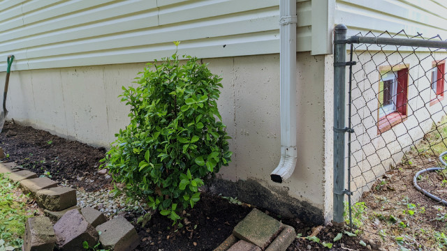 INSTALLING A POP UP DRAIN | DIY BURIED DOWNSPOUT - Grove House Reno